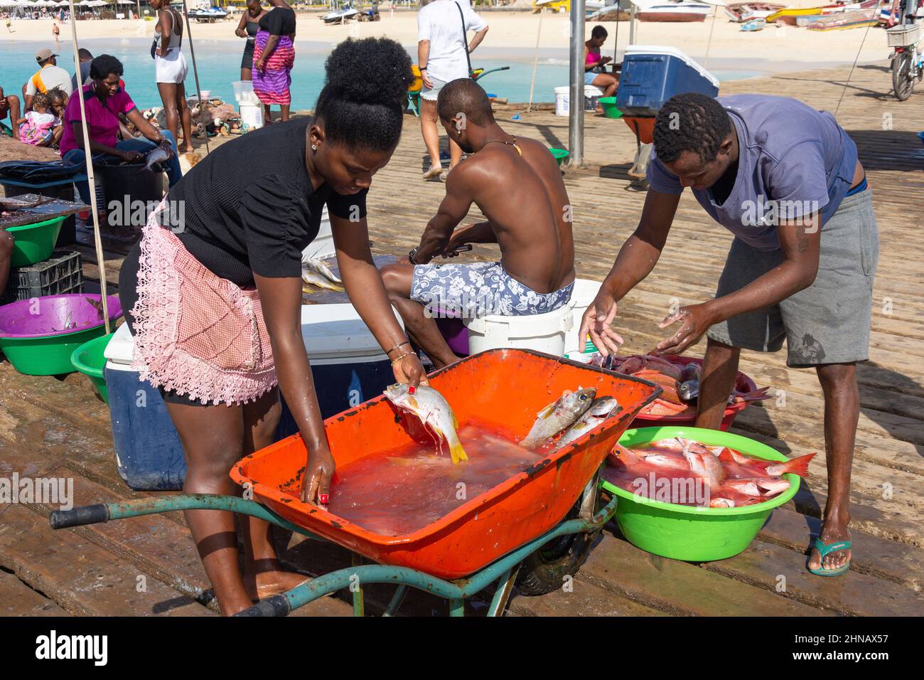 Couple lavant et triant du poisson sur le quai de pêche de Pontao Santa ...