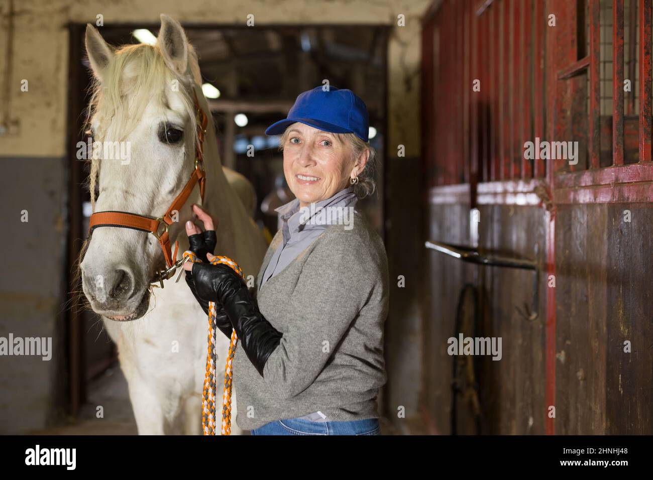 Horse in stable with groom Banque de photographies et d’images à haute ...