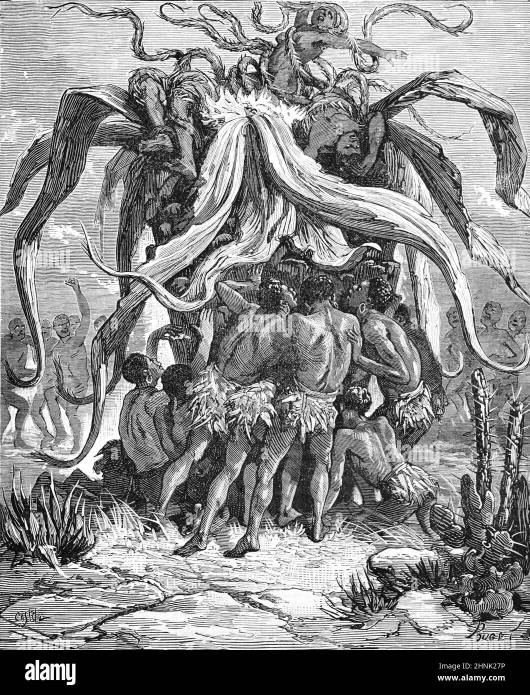 Plante carnivore géante, Cannibal Tree, Monster Triffid, Anthropophage ...