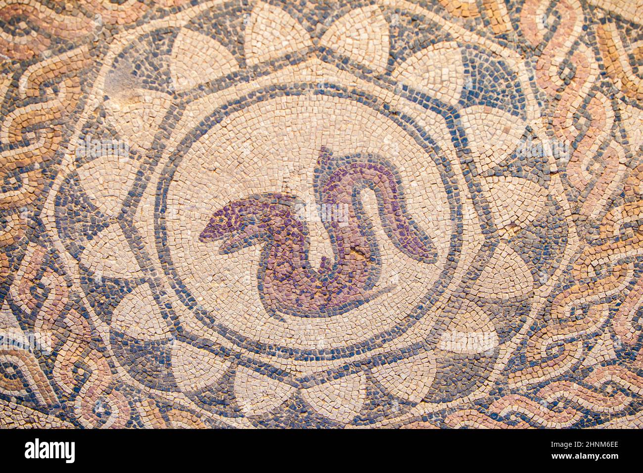 Merida spain Banque de photographies et d’images à haute résolution - Alamy