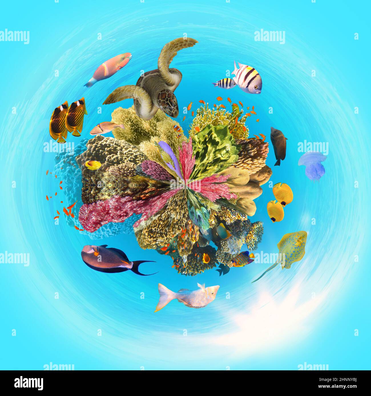 Fond paradis sous-marin de la faune des récifs coralliens avec collage ...