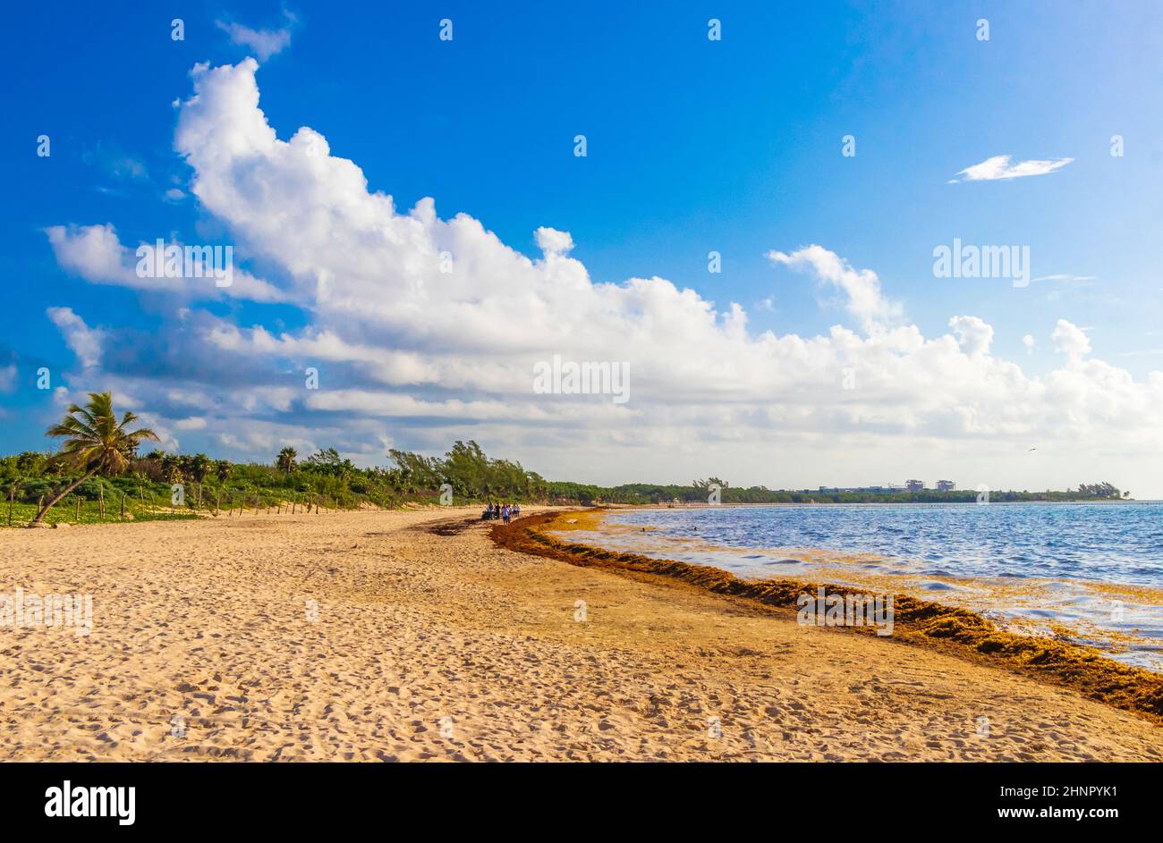 Mexique sargazo Banque de photographies et d’images à haute résolution ...