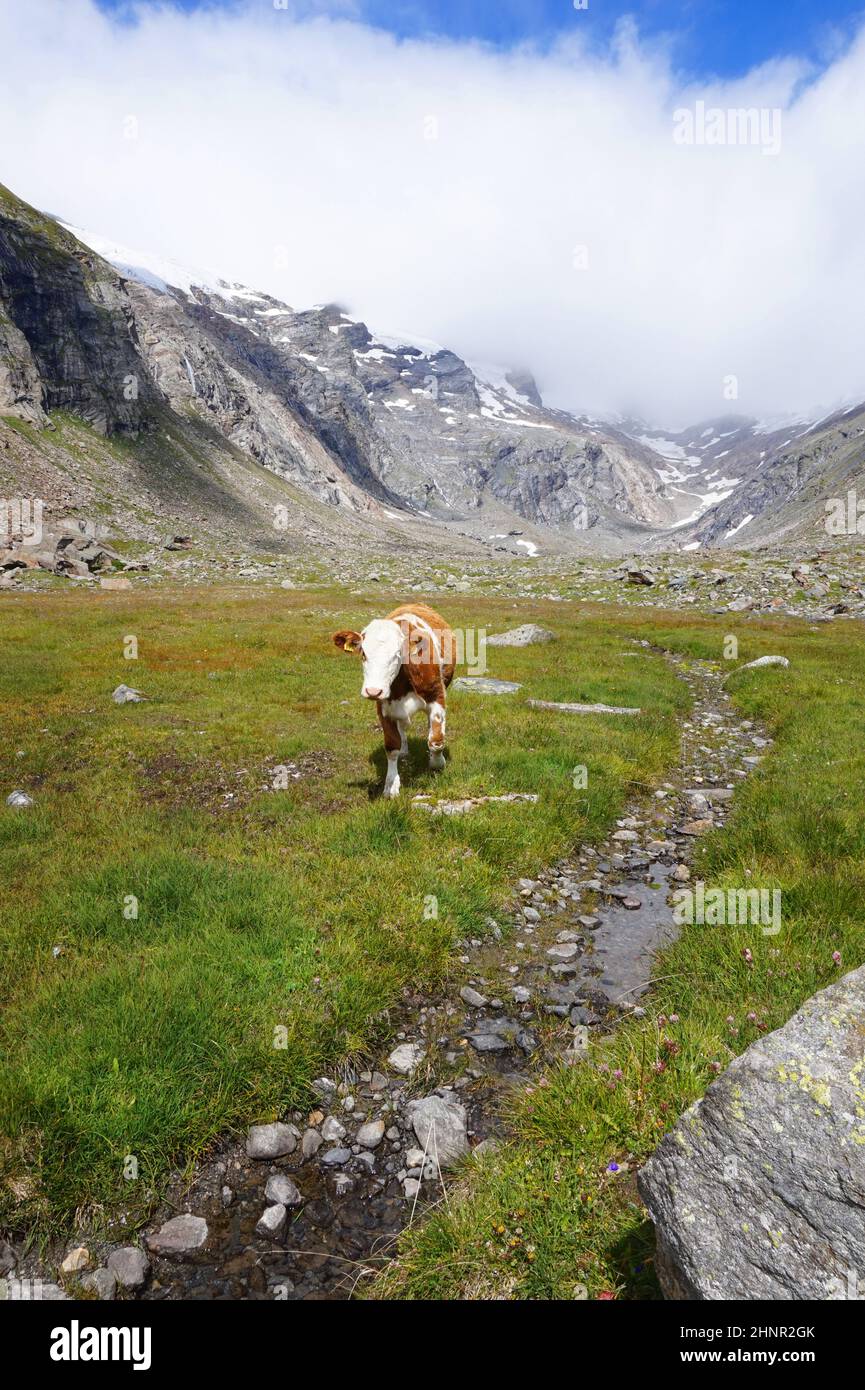 Parc national des hohe tauern alpes Banque de photographies et d’images ...