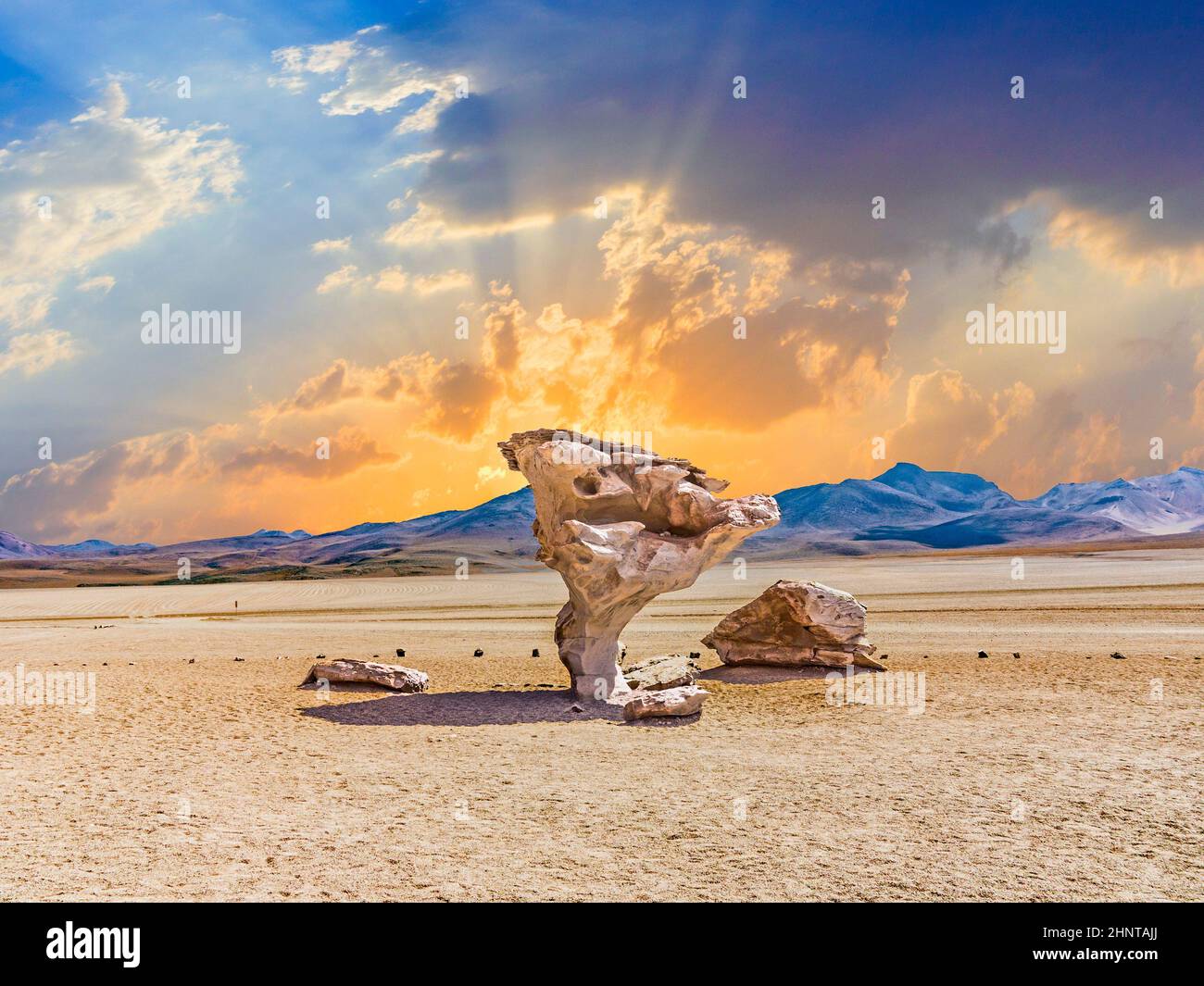 Arbol de Piedra (arbre de roche), la célèbre formation rocheuse d'arbre ...