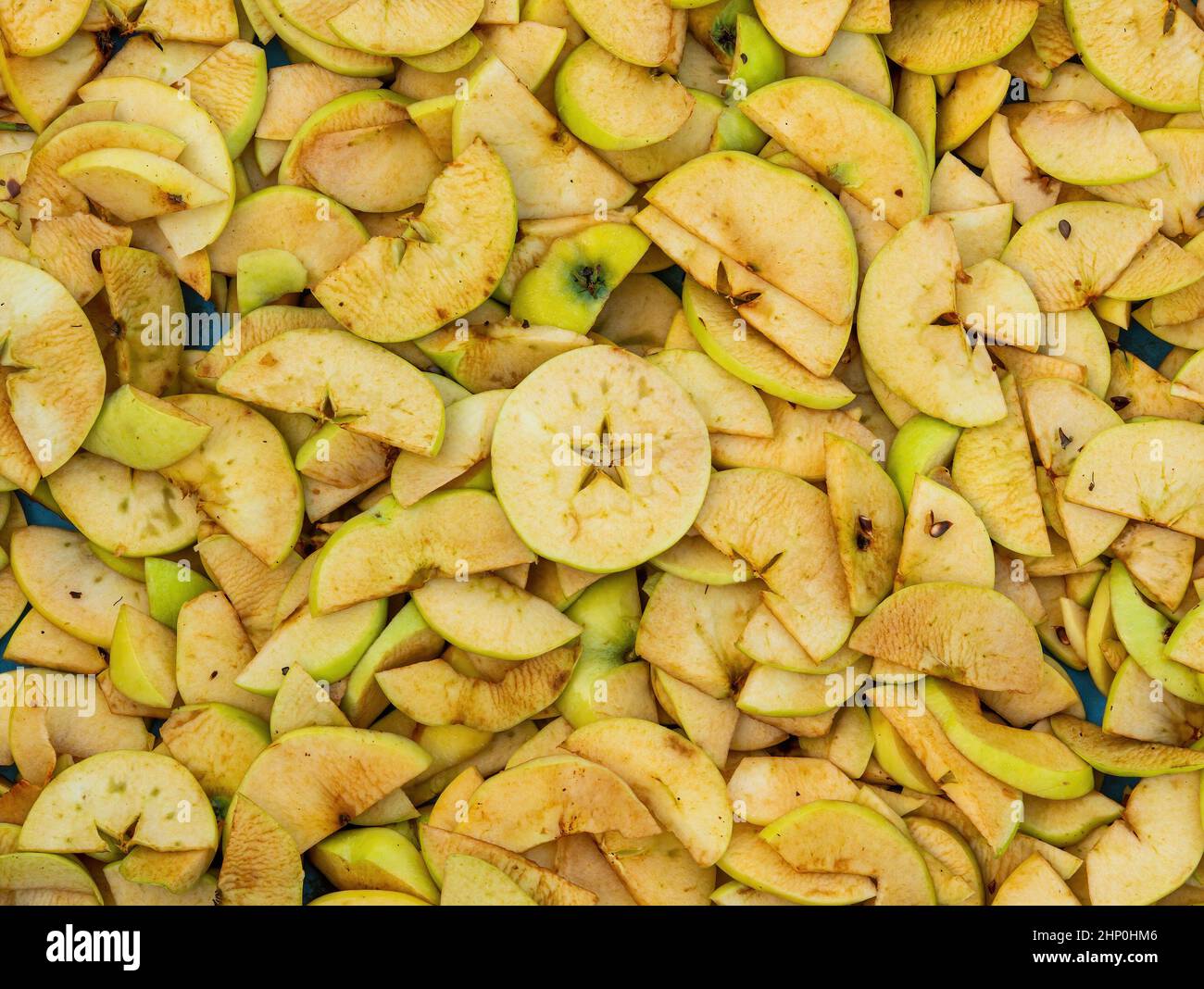Tranches de pommes de fruits vertes pour le séchage.Séchage des fruits ...