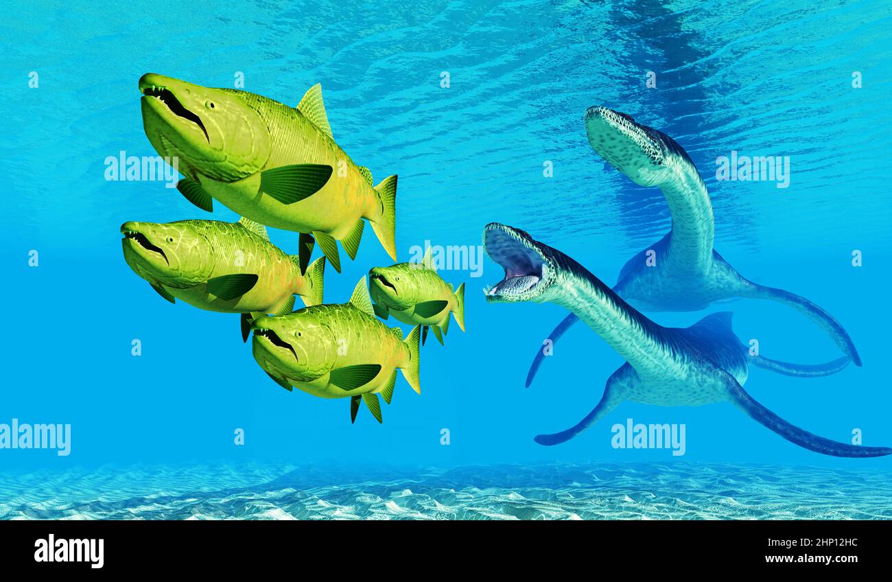 Reptiles marins du jurassique Banque de photographies et d’images à ...