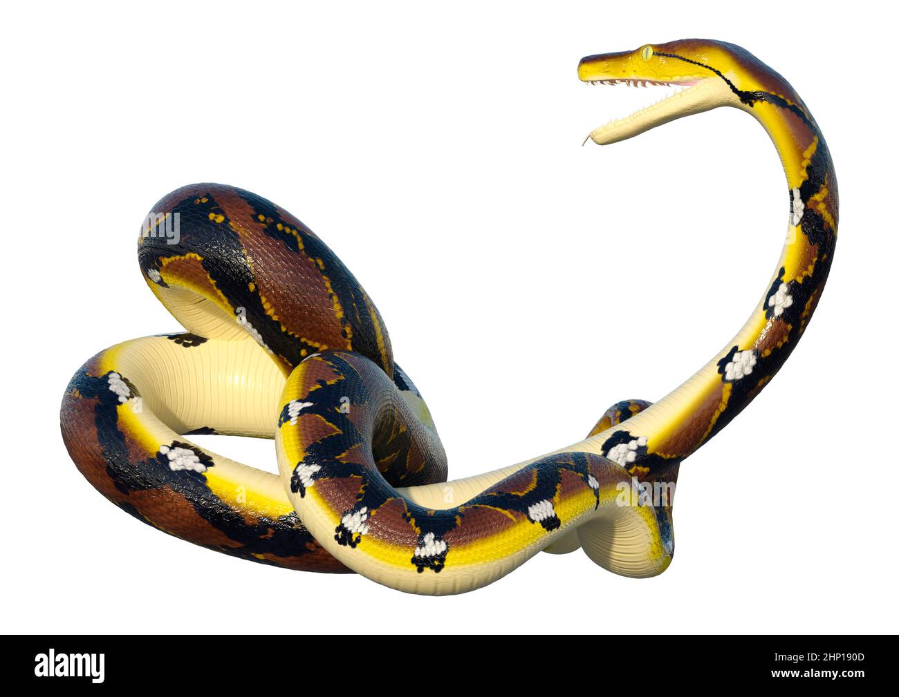 Rendu 3D d'un python réticulé ou Python reticulatus, une espèce de ...