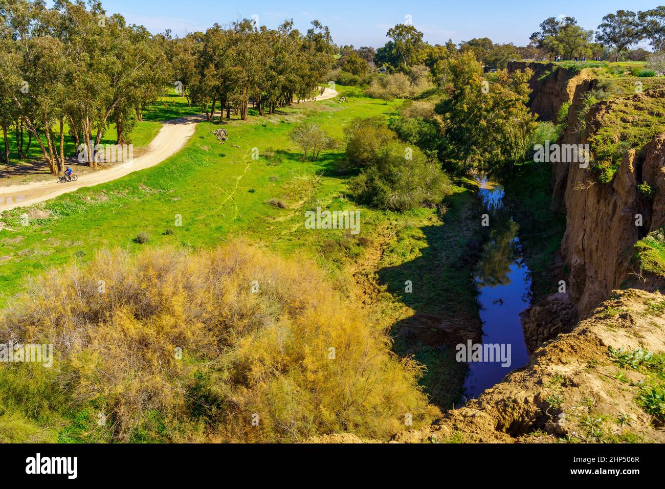 Vue sur la vallée de Gerar et le paysage de la forêt de Beeri, désert ...