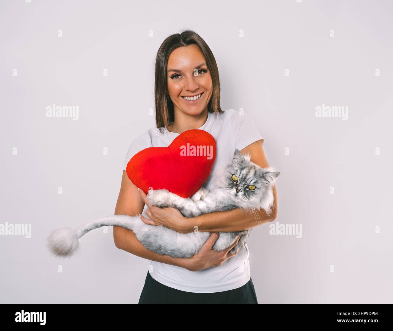 Chat dans les bras Banque de photographies et d’images à haute ...