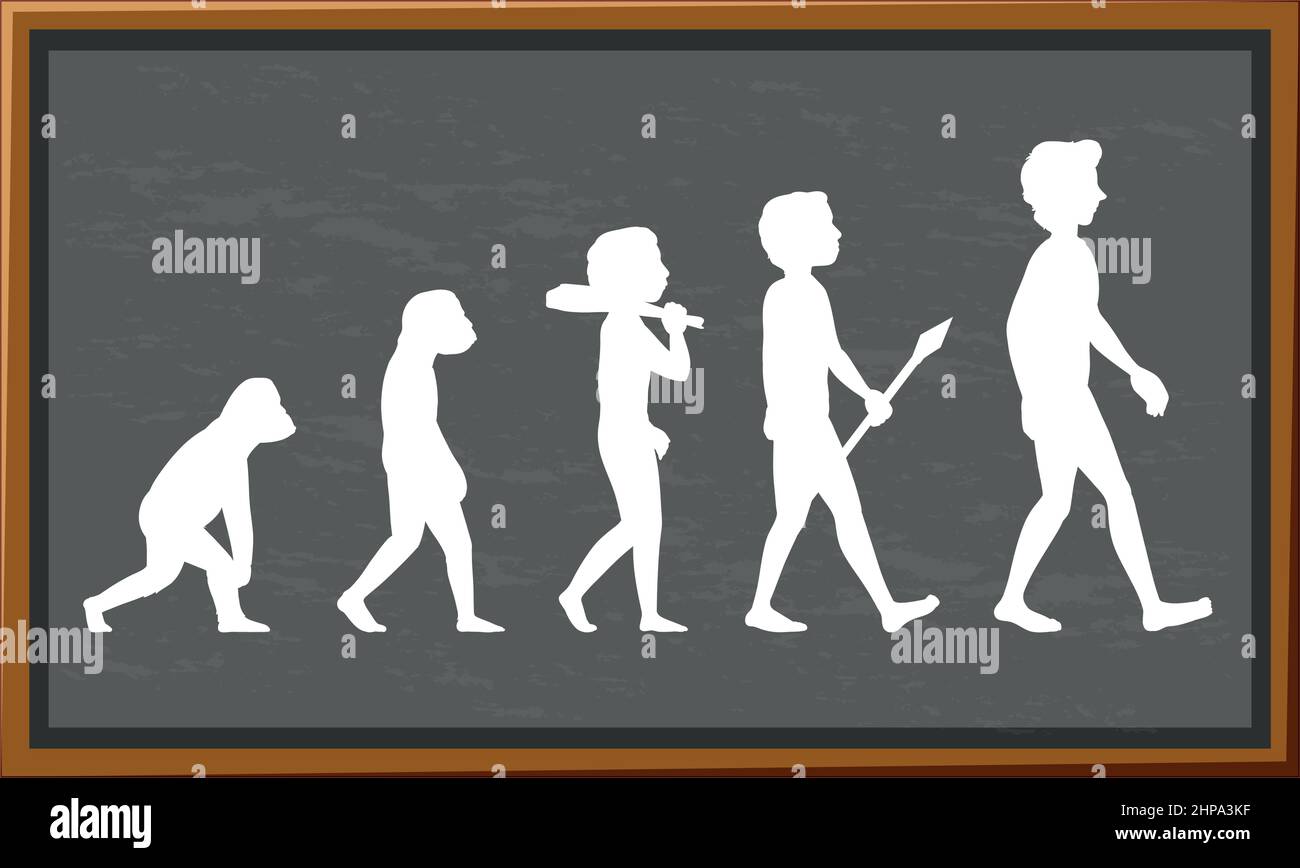 Image De L’Évolution Humaine – Évolution Humaine Dessin – CLIDM