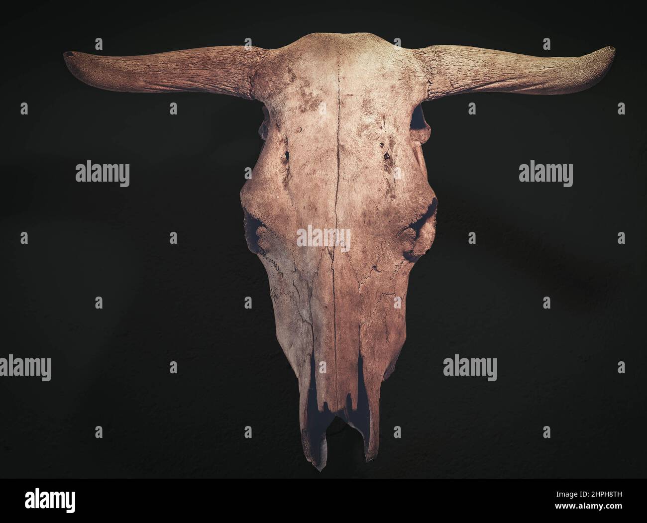 Cowboy impasse Banque de photographies et d’images à haute résolution ...