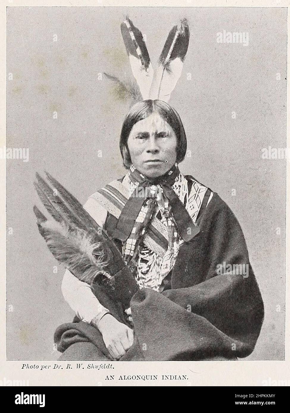 Tribu algonquin Banque de photographies et d’images à haute résolution ...