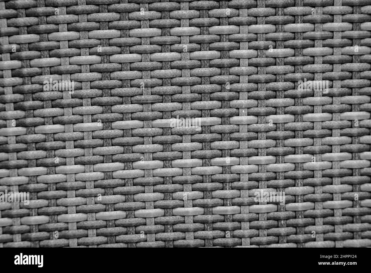 Texture des roseaux Banque d'images noir et blanc - Alamy