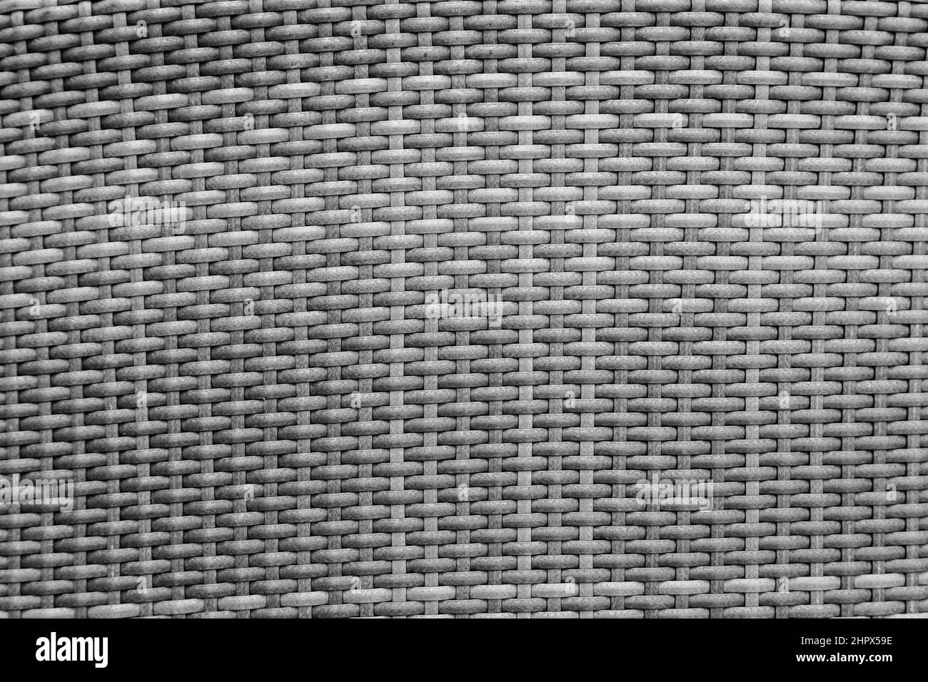 Texture des roseaux Banque d'images noir et blanc - Alamy