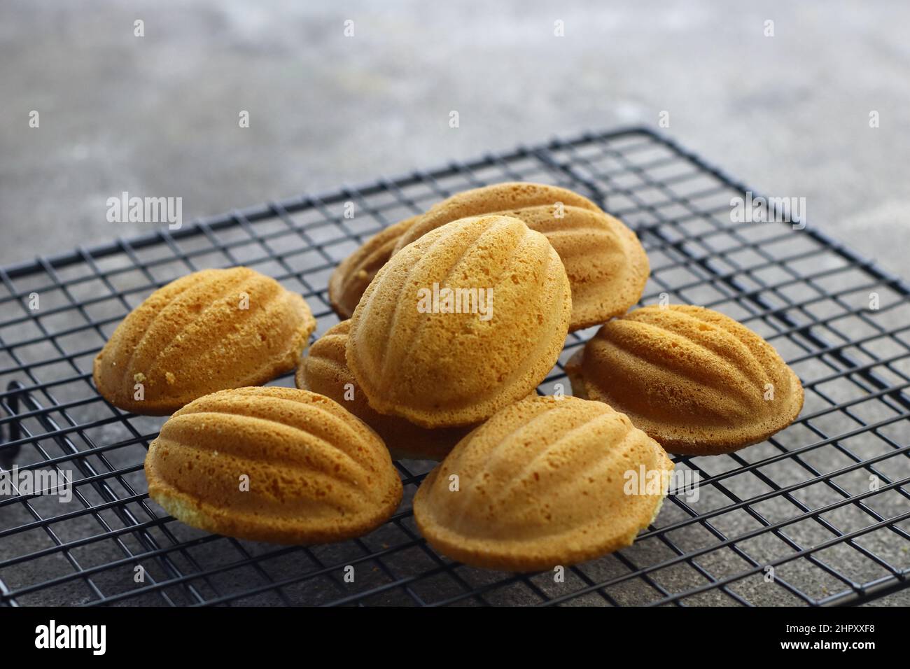 Bolu kering jadul ou mini gâteau éponge, traditionnel vieux gâteau ...