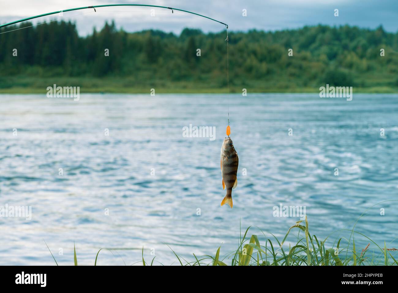 Tourner pour le poisson Banque de photographies et d’images à haute ...