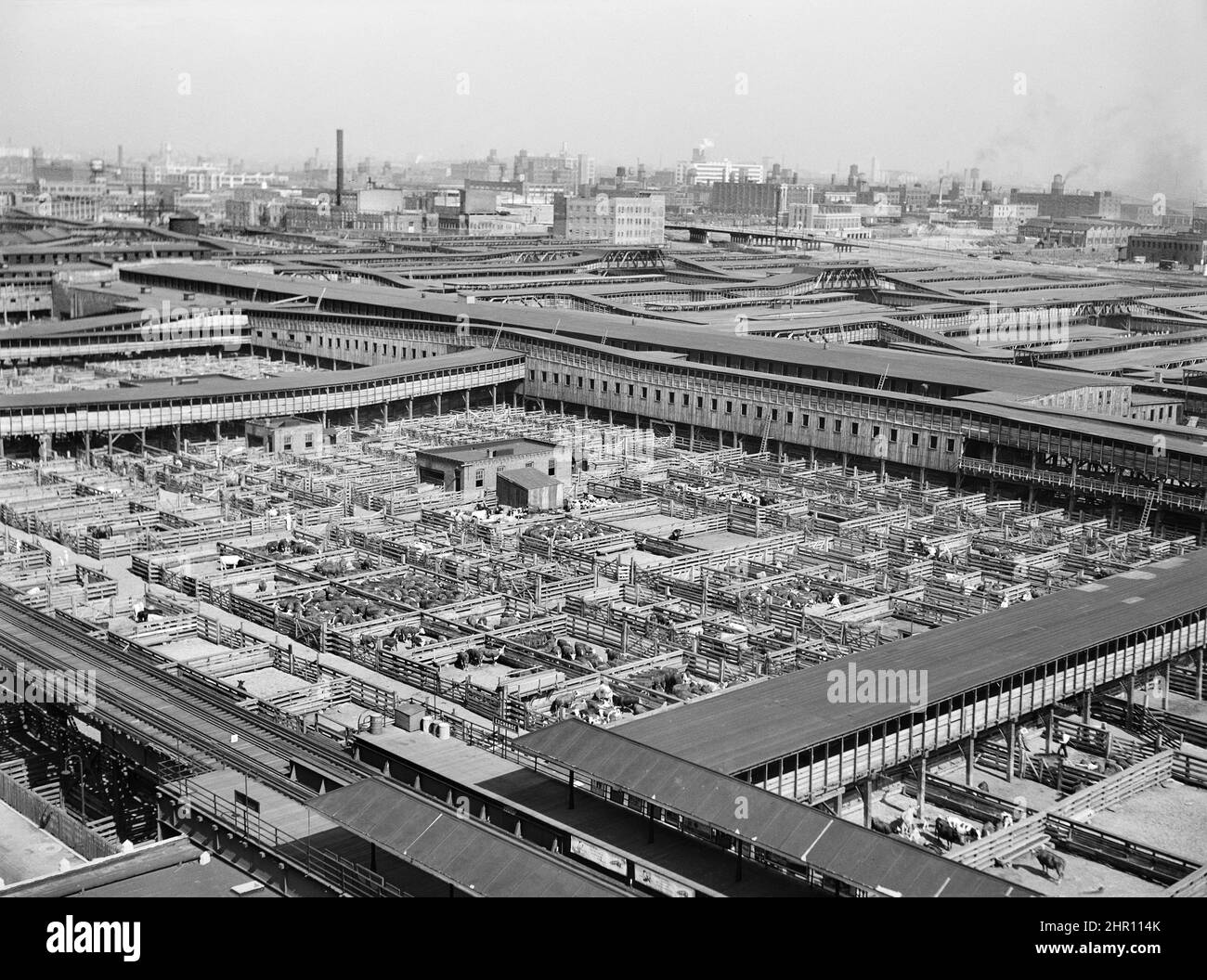 Enclos à porc Banque d'images noir et blanc - Alamy