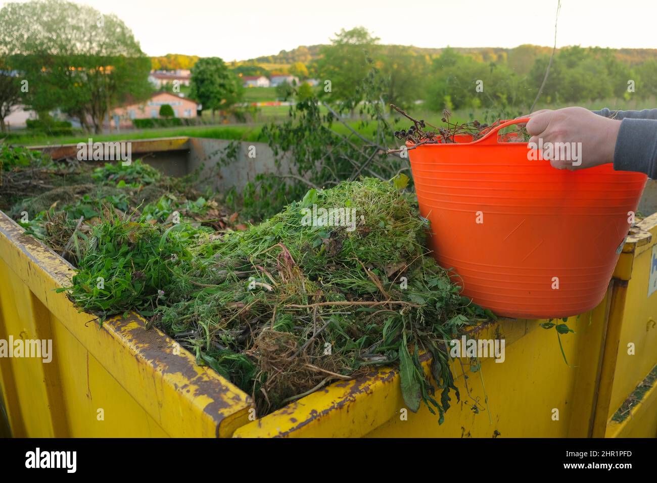 Compost vert.déchets végétaux. Seau avec compost dans les mains d'un ...