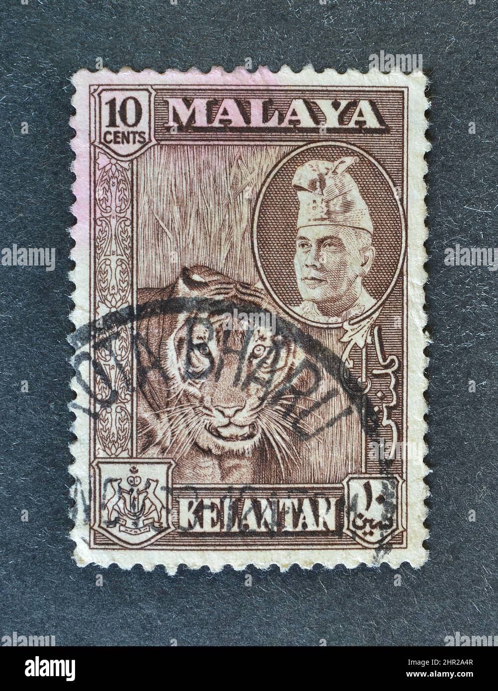 Timbre-poste annulé imprimé par Malaya, qui montre le tigre et le ...