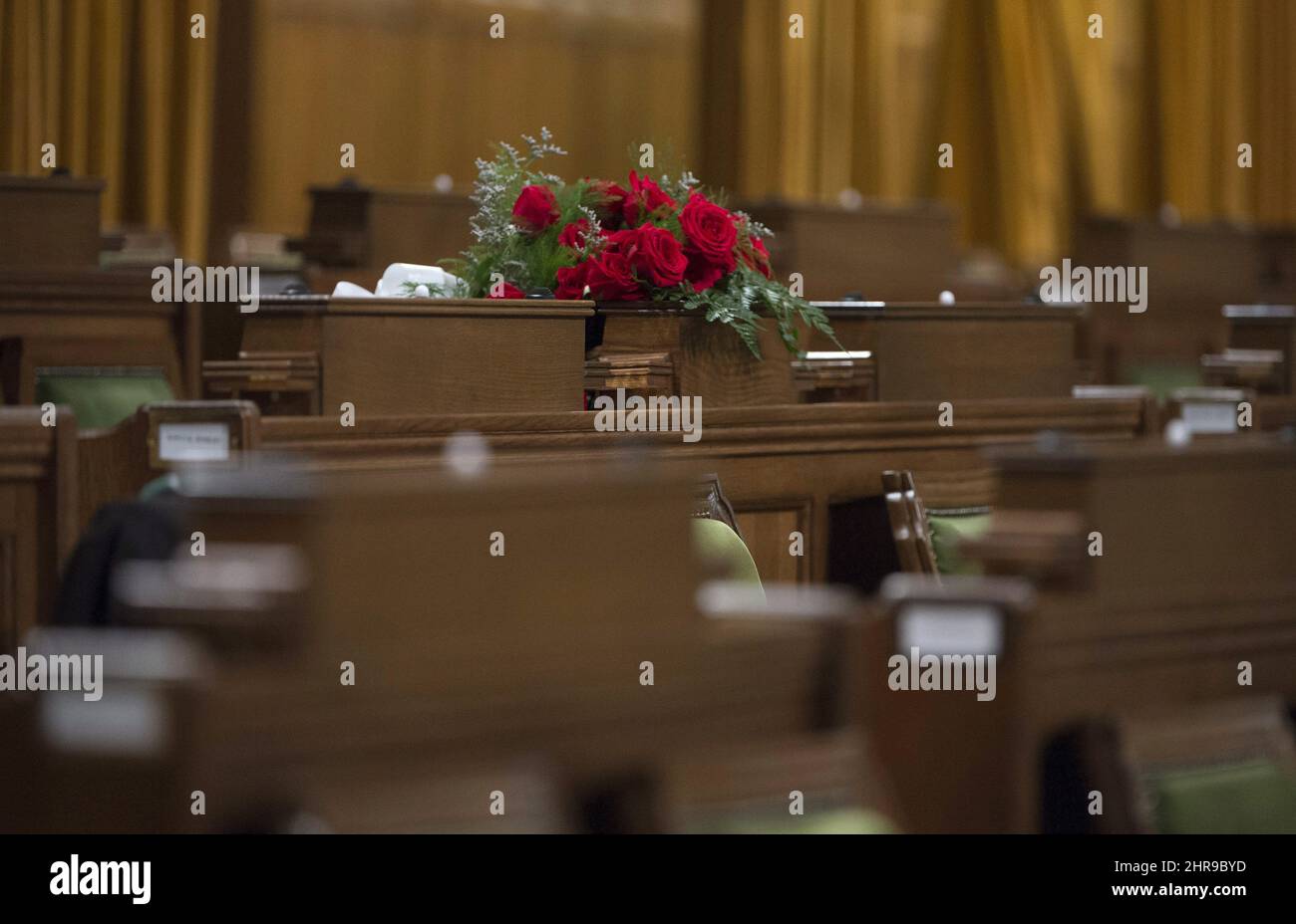 Les fleurs sont assises sur le bureau du député Jim Hillyer à la ...