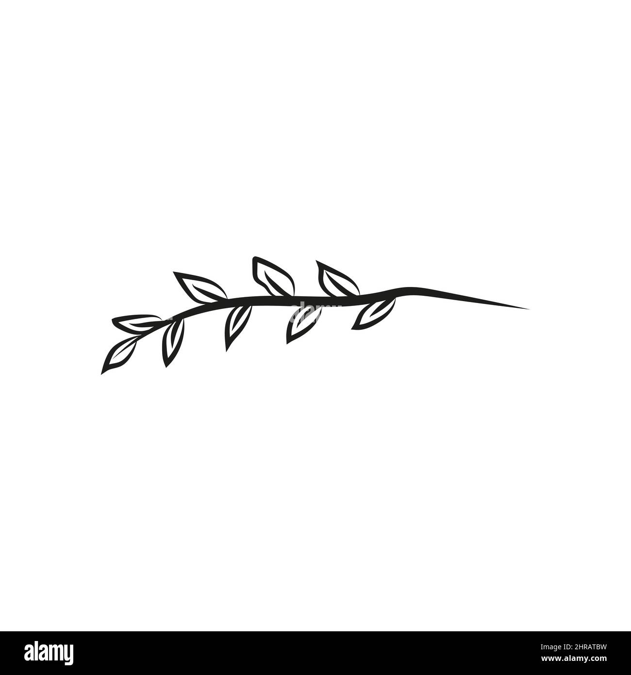 Logo feuille, inspiration naturelle vectorielle, icône feuille. Logos ...