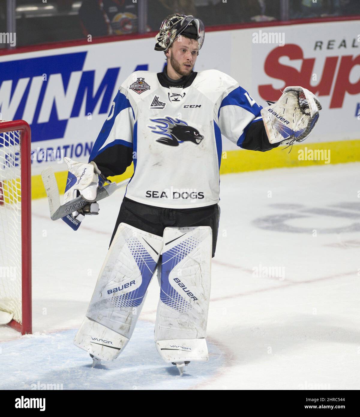 Le gardien de but des chiens de mer de Saint John Callum Booth réagit ...
