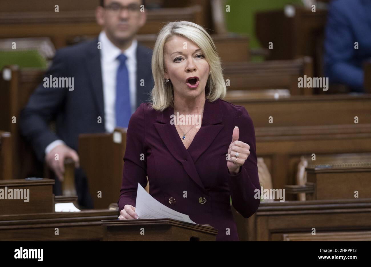 Le député conservateur Candice Bergen se lève pendant la période des ...