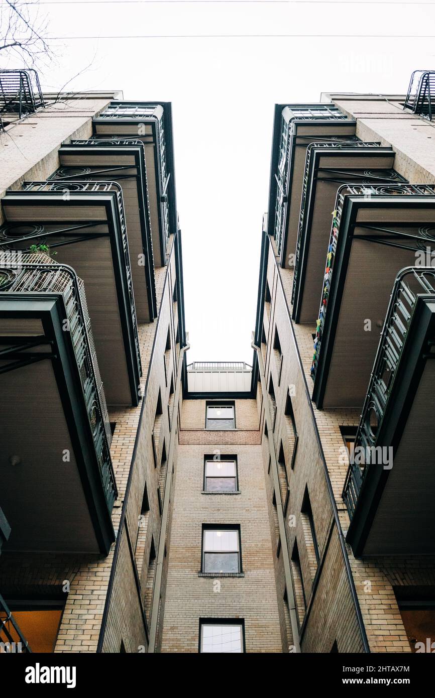 Plan vertical à angle bas des deux bâtiments reliés qui ont une ...