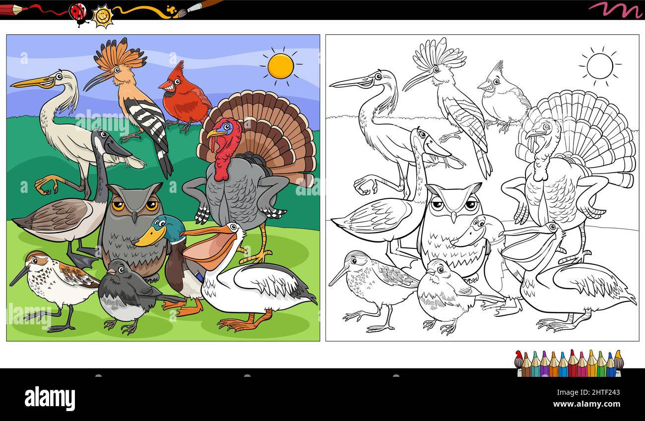Dessin Animé Illustration De La Page De Livre De Coloriage Des