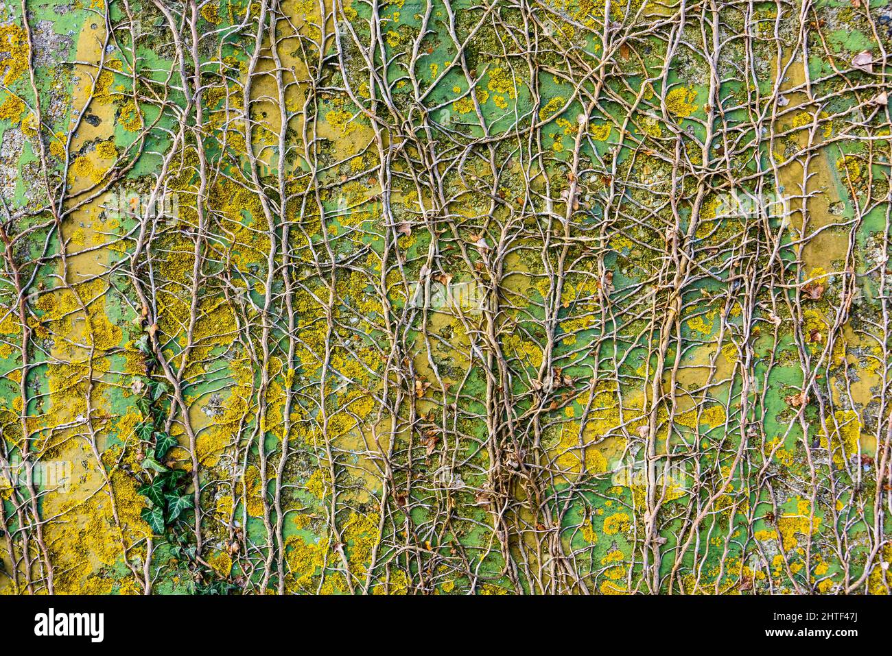 Wwii bunker Banque de photographies et d’images à haute résolution - Alamy