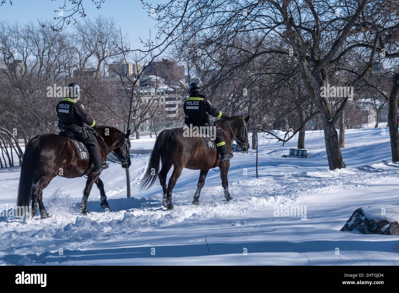 Montréal, CA - 26 février 2022 : patrouille d'agents de la police ...