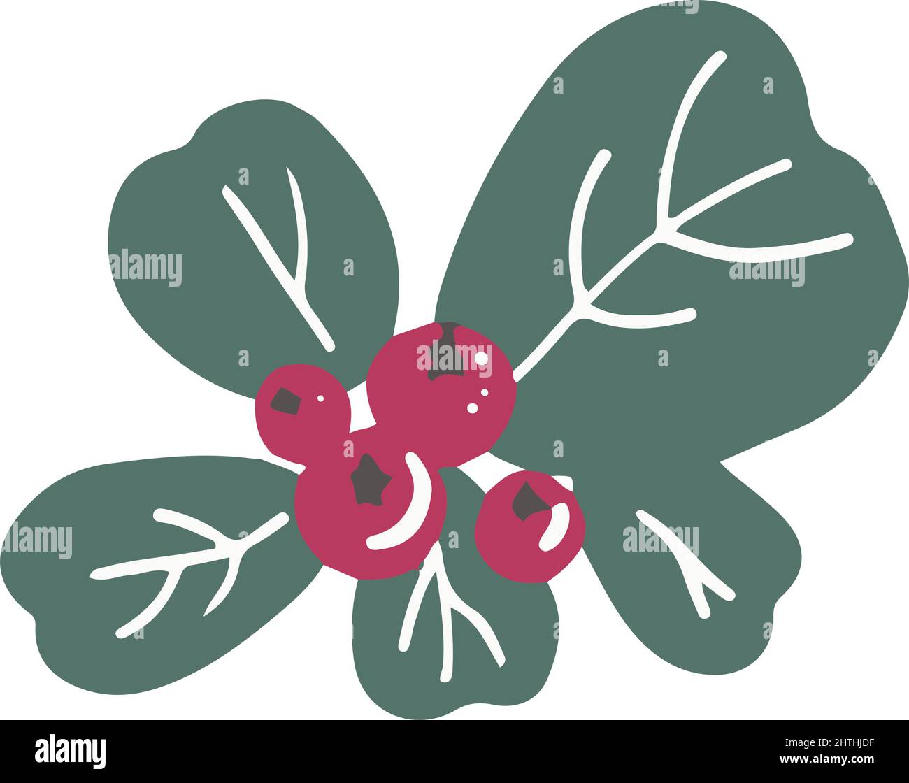 Arbustes à feuilles persistantes Banque d'images vectorielles - Alamy