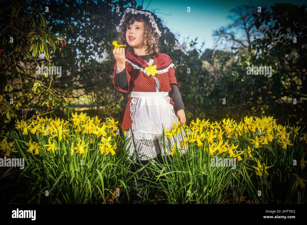 Patron saint of wales Banque de photographies et d’images à haute ...