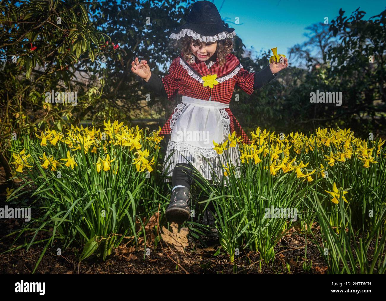 Patron saint of wales Banque de photographies et d’images à haute ...