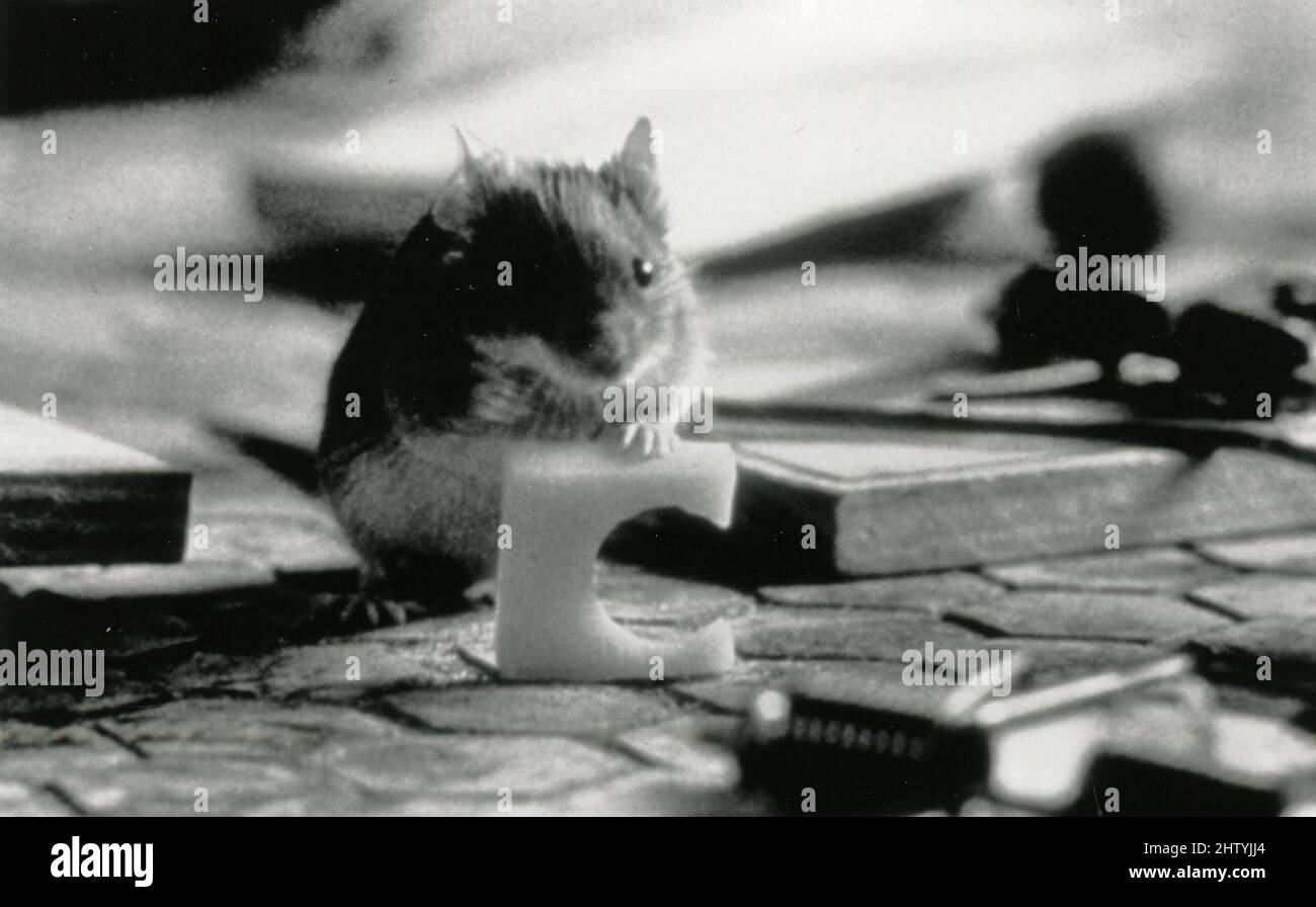 Mouse hunt 1997 Banque de photographies et d’images à haute résolution ...