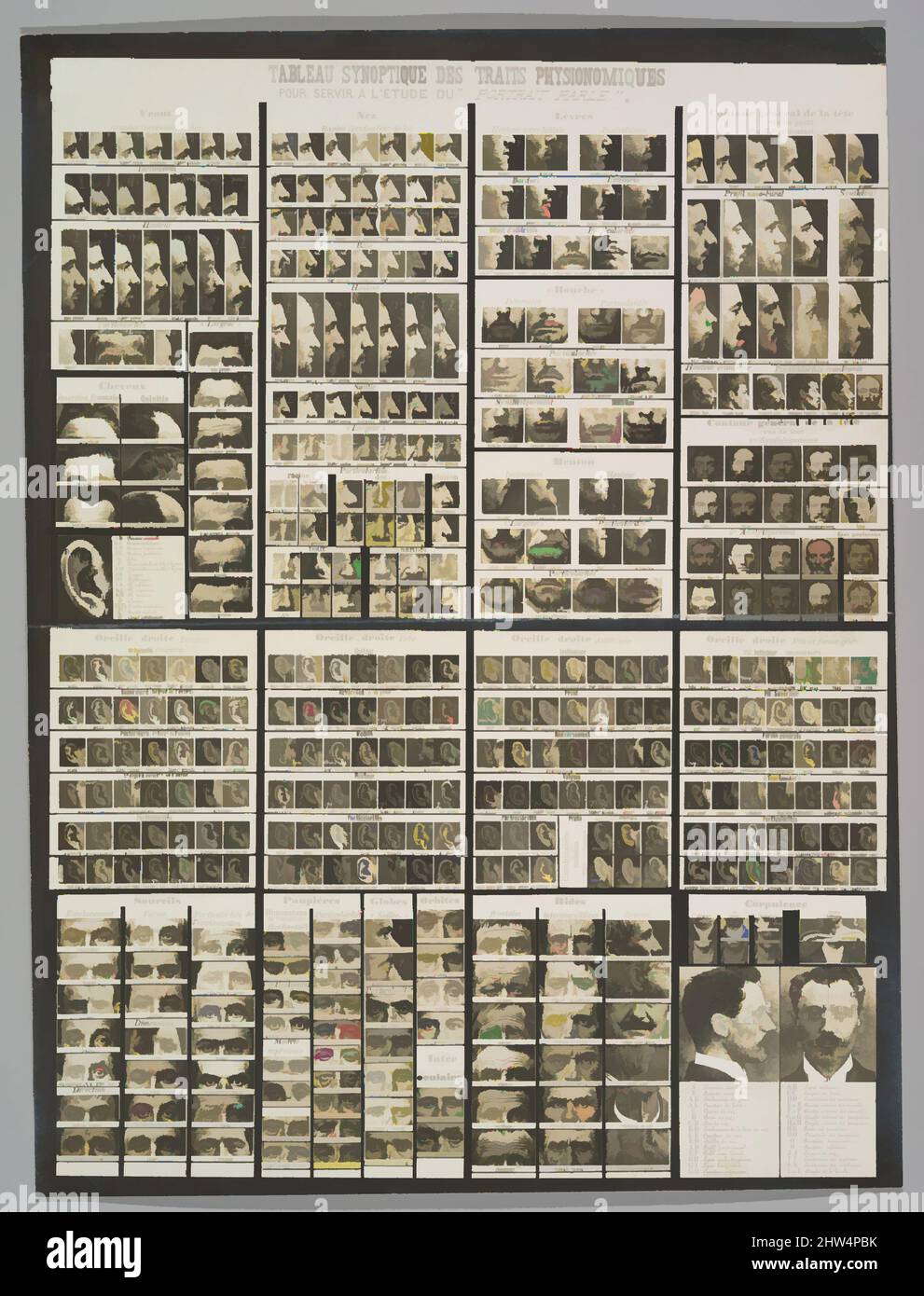 Tableau synoptique des traits physionomiques Banque de photographies et ...