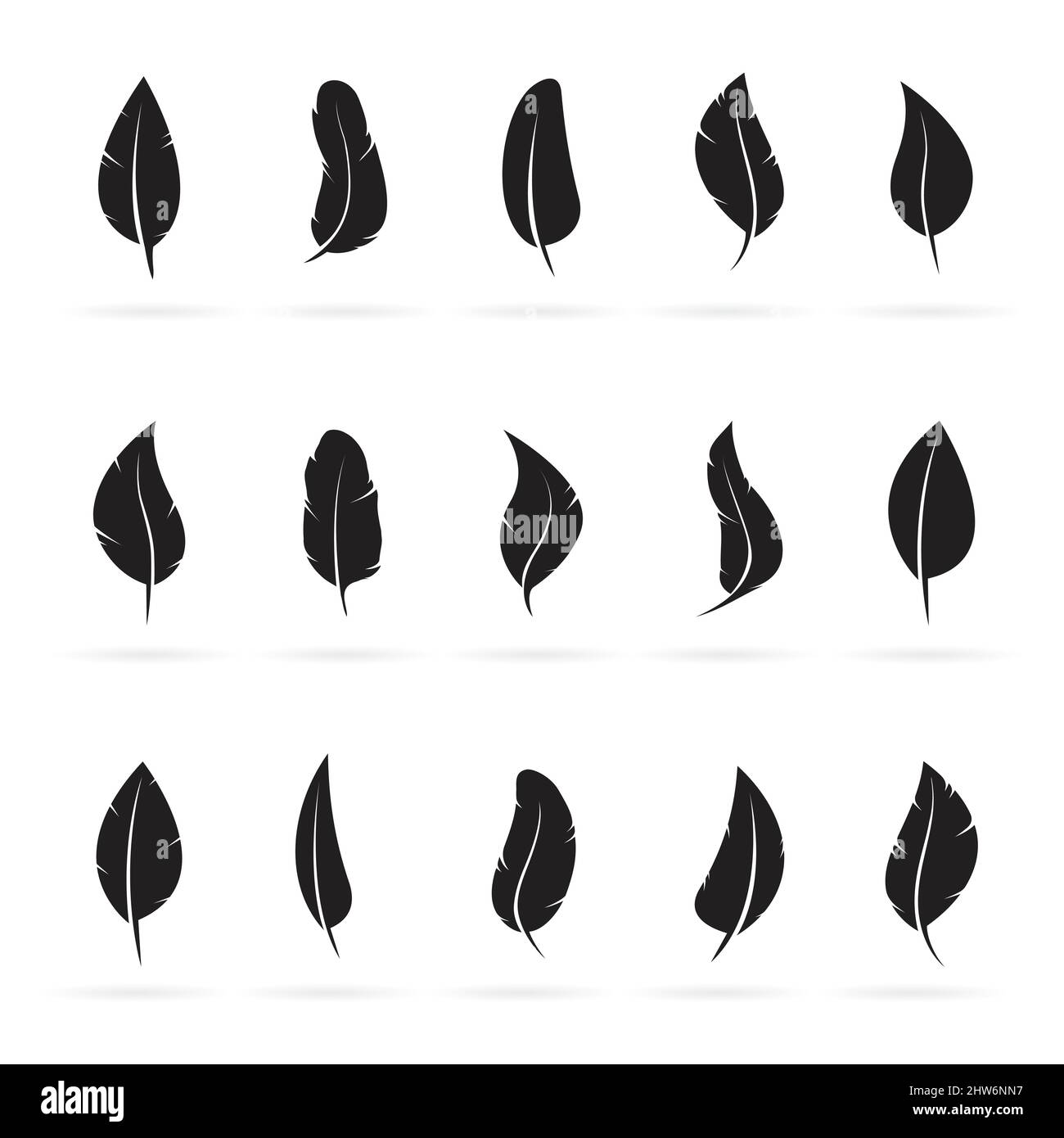 Groupe vectoriel de plumes sur fond blanc.Illustration vectorielle ...