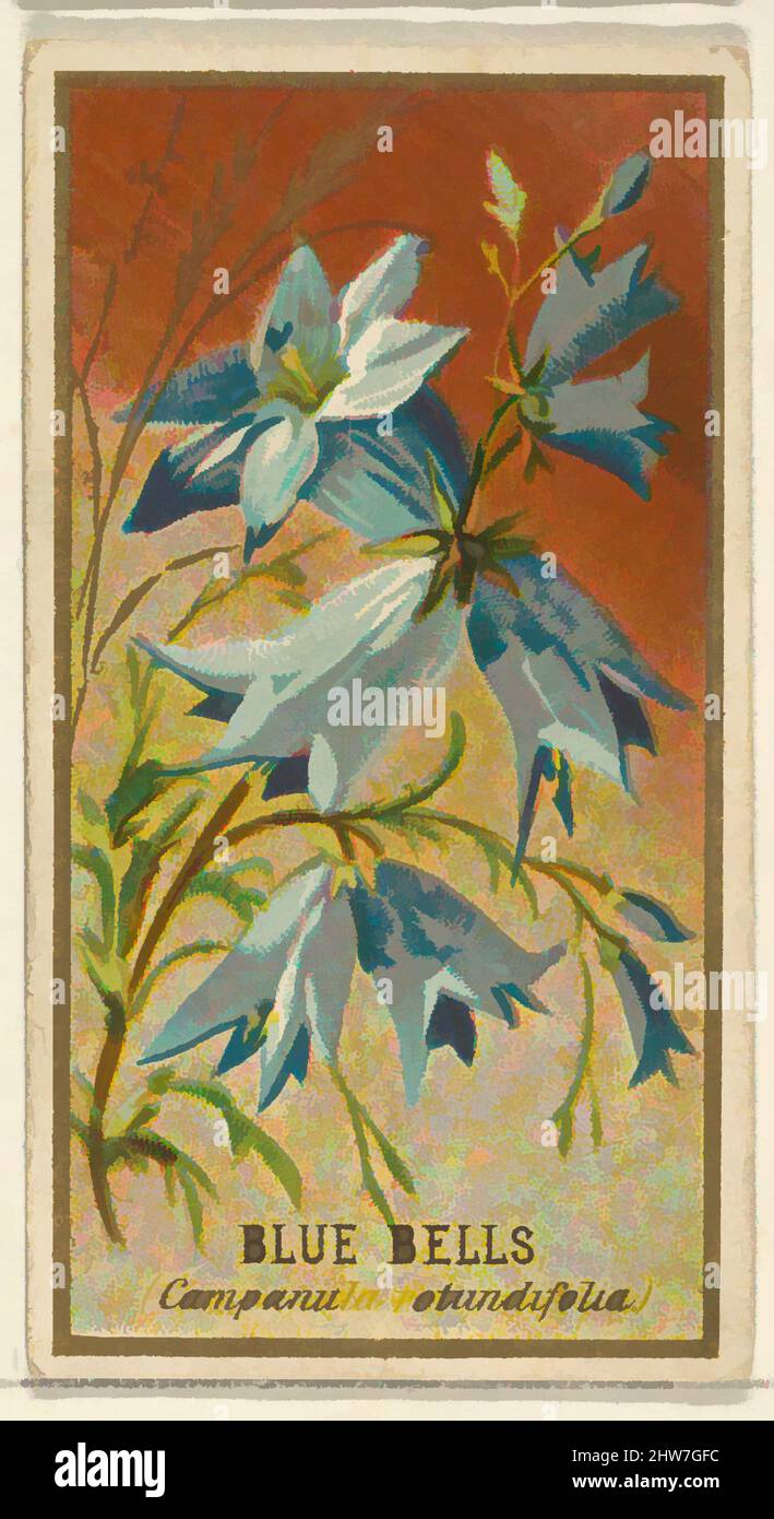 Art inspiré par Bluebells (Campanula rotundifolia), de la série fleurs ...