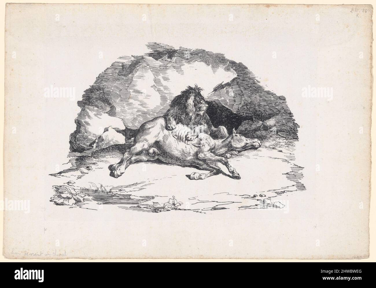 Lion dévorant un cheval (Un Lion dévorant un cheval). Artiste ...