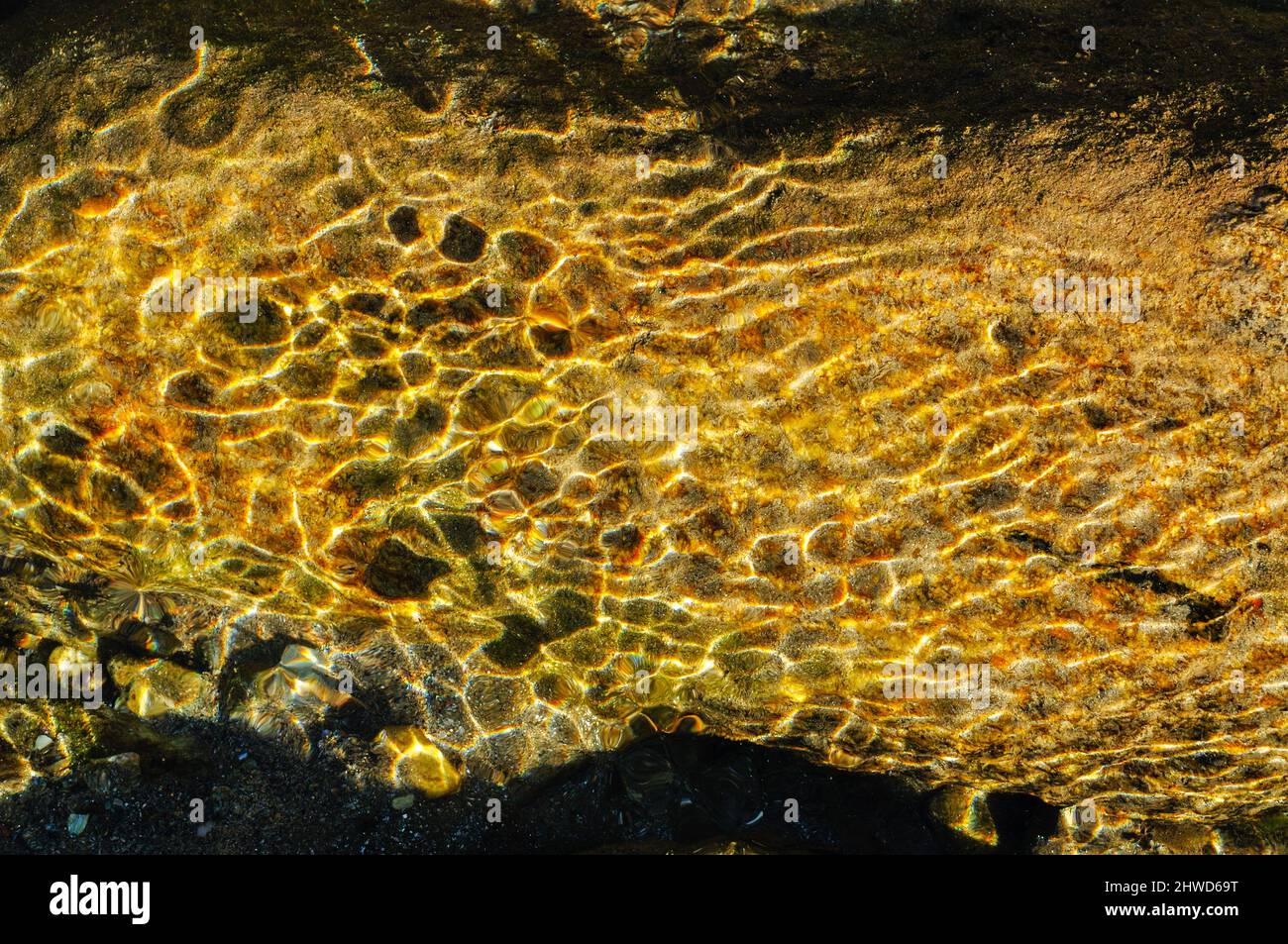 Reshikhola sikkim Banque de photographies et d’images à haute ...