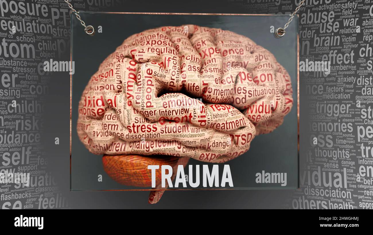 Anatomie du traumatisme - ses causes et effets projetés sur un cerveau ...