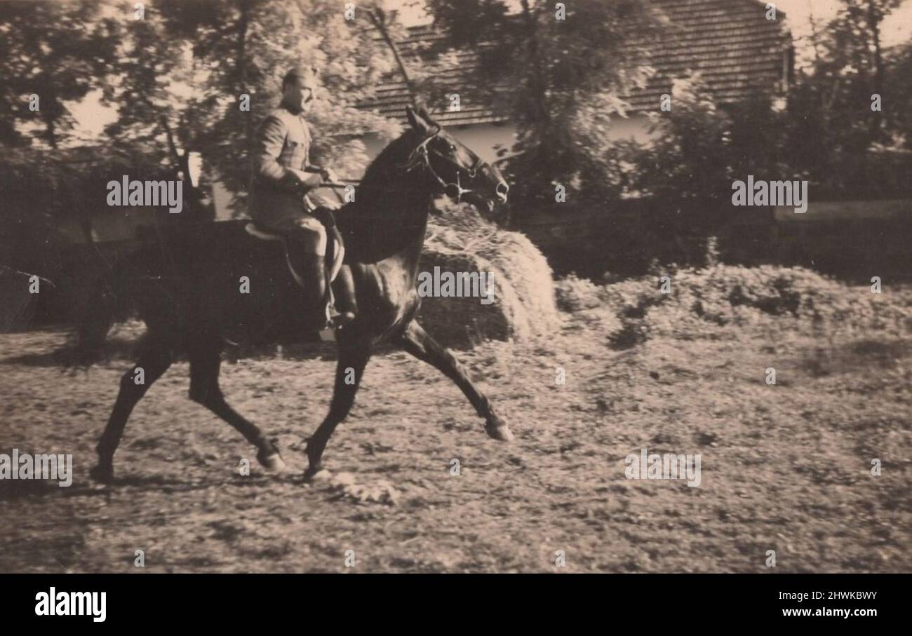 WW1 officier de Cavalerie hongrois monté sur son steed ( Hussar) photo ...