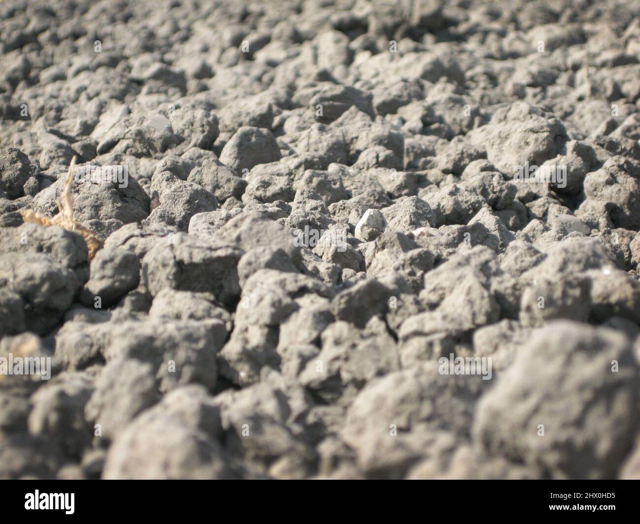 Texture du sol limoneux Banque de photographies et d’images à haute ...