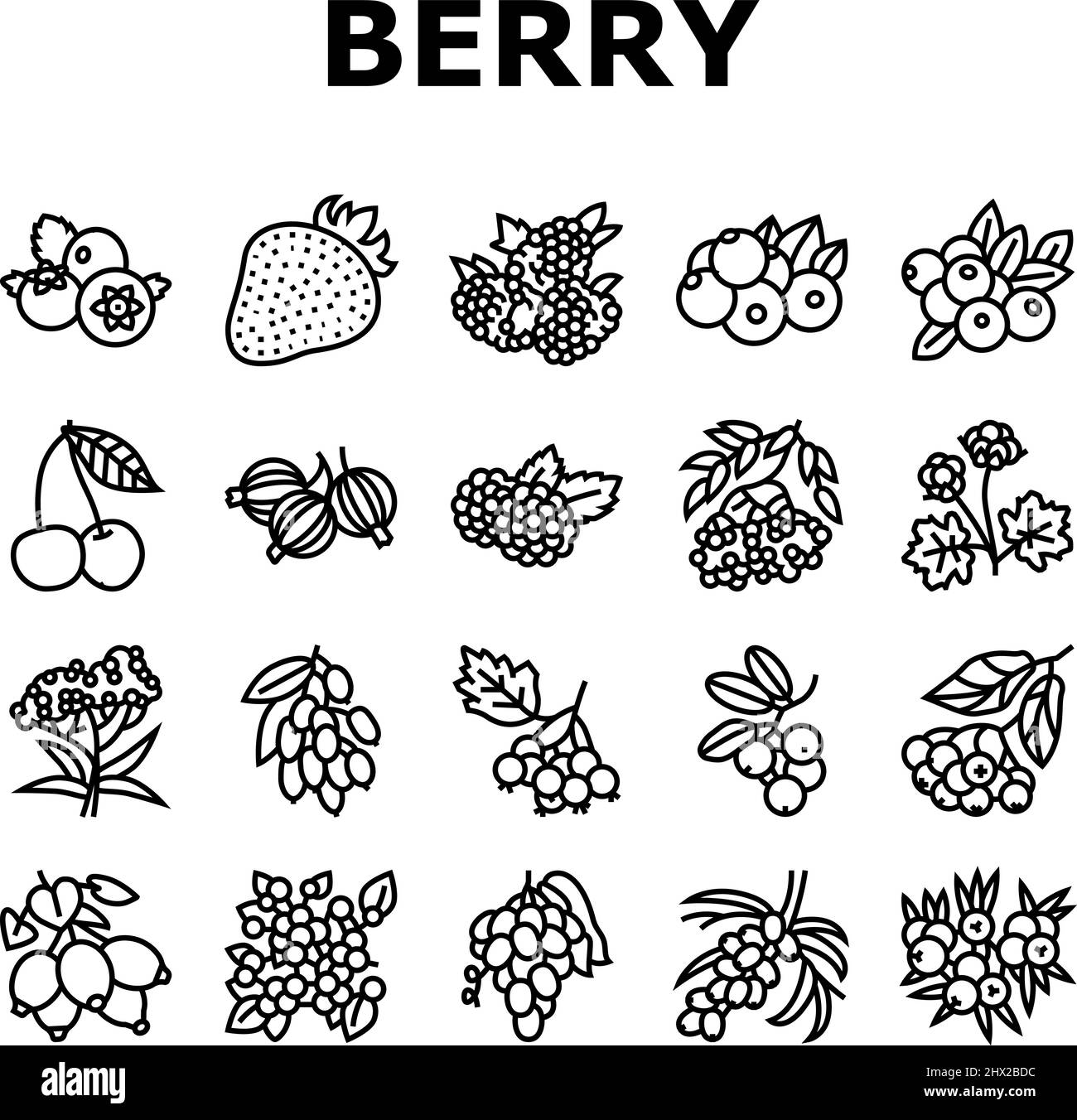 Ensemble de symboles de fruits rouges délicieux et vitaminiques Vector ...