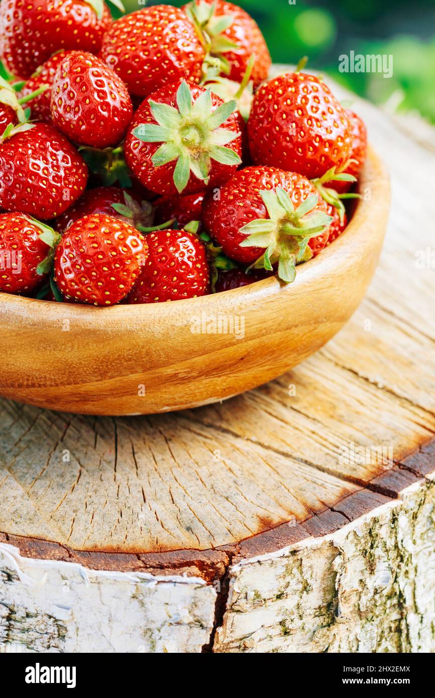 Petits fruits bio Fraises libre. Vanille Dans le jardin de fruits ...