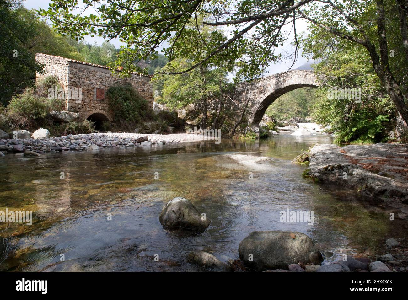 Niolu niolo valley Banque de photographies et d’images à haute ...