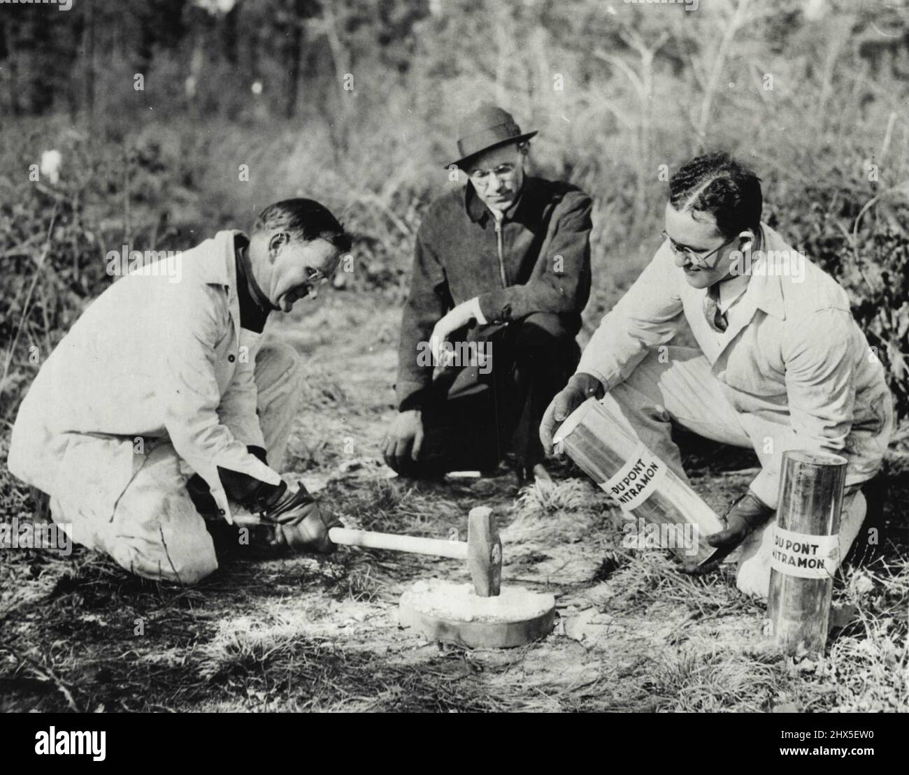 Dr nous kissons Banque de photographies et d’images à haute résolution ...