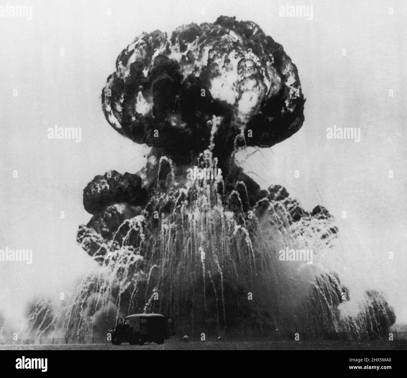 Chauve souris en vol Banque d'images noir et blanc - Alamy