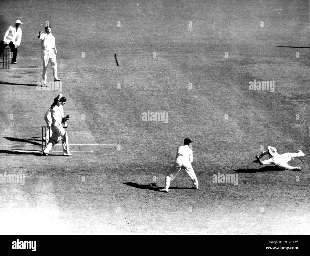 La prise de la journée pendant que Trevor Bailey plonge à pleine ...