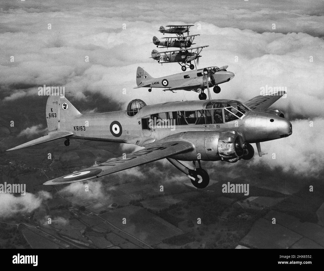 Hart volant Banque de photographies et d’images à haute résolution - Alamy